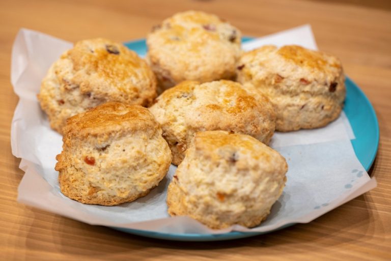 AORINGO（アオリンゴ） – ローカルWEBマガジン【cocomo】