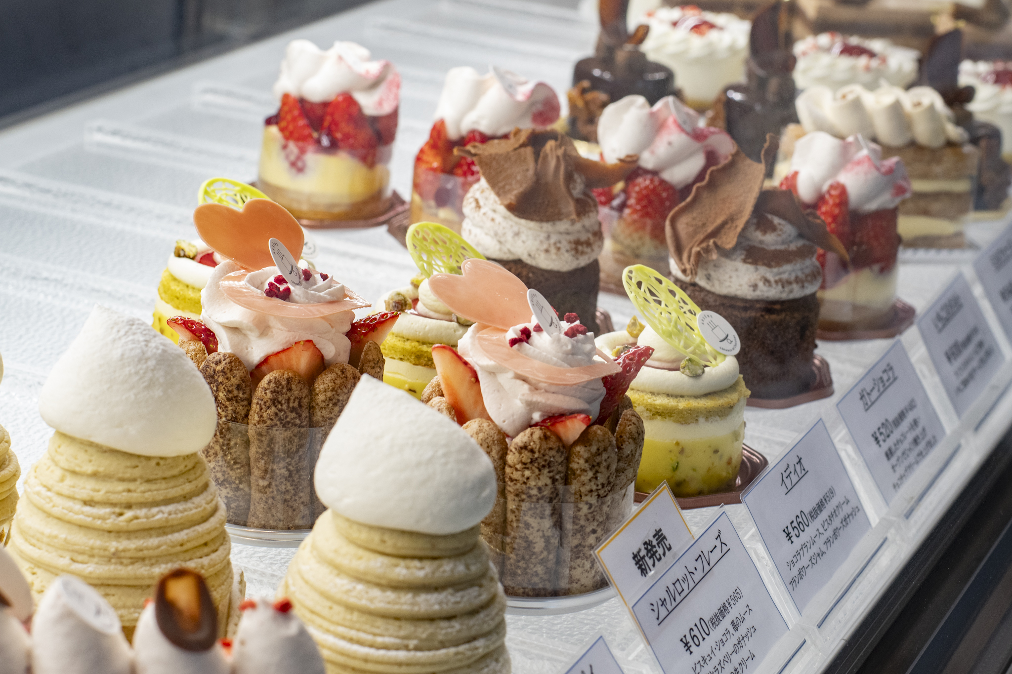 ARSENE（アルセーヌ） – ローカルWEBマガジン【cocomo】